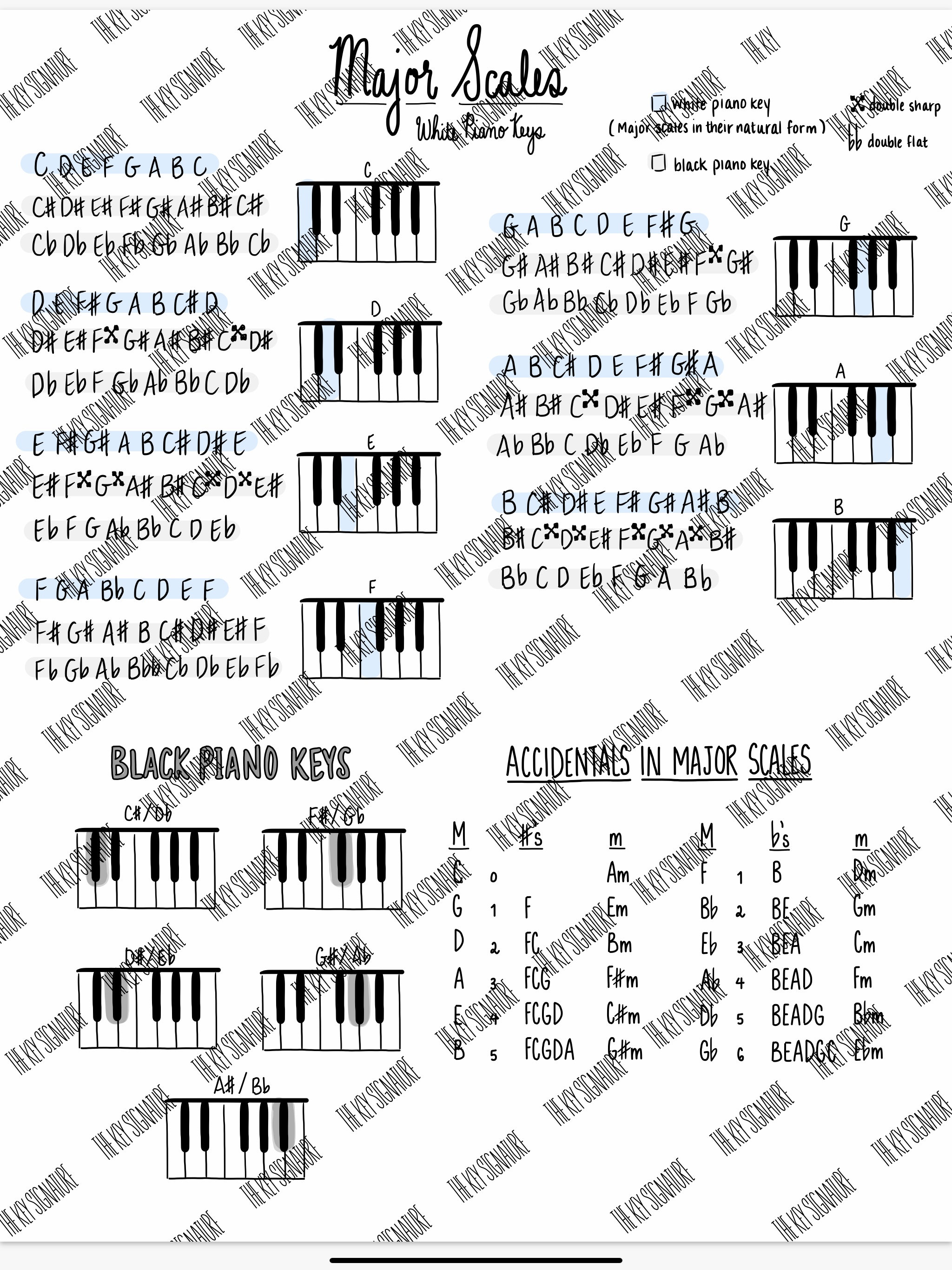 Major Scales Music Theory Study Guide Digital PDF Download | Etsy