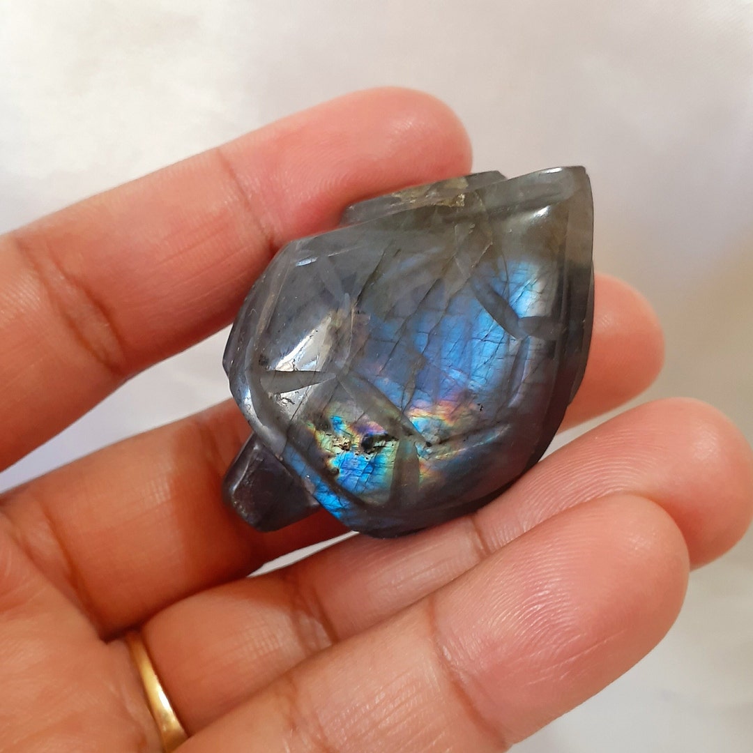 Spectrolite 36gr Multicolor, Purplish Blue Tortoise Shape-trt1 - Etsy