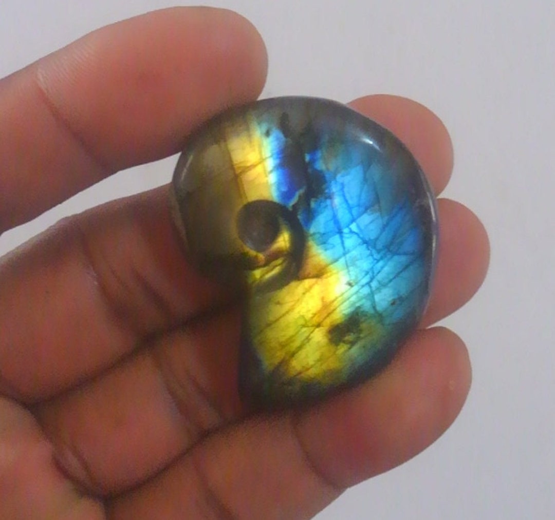 Labradorite 31 Gr blue Green and Yellow Snail-crg1 - Etsy