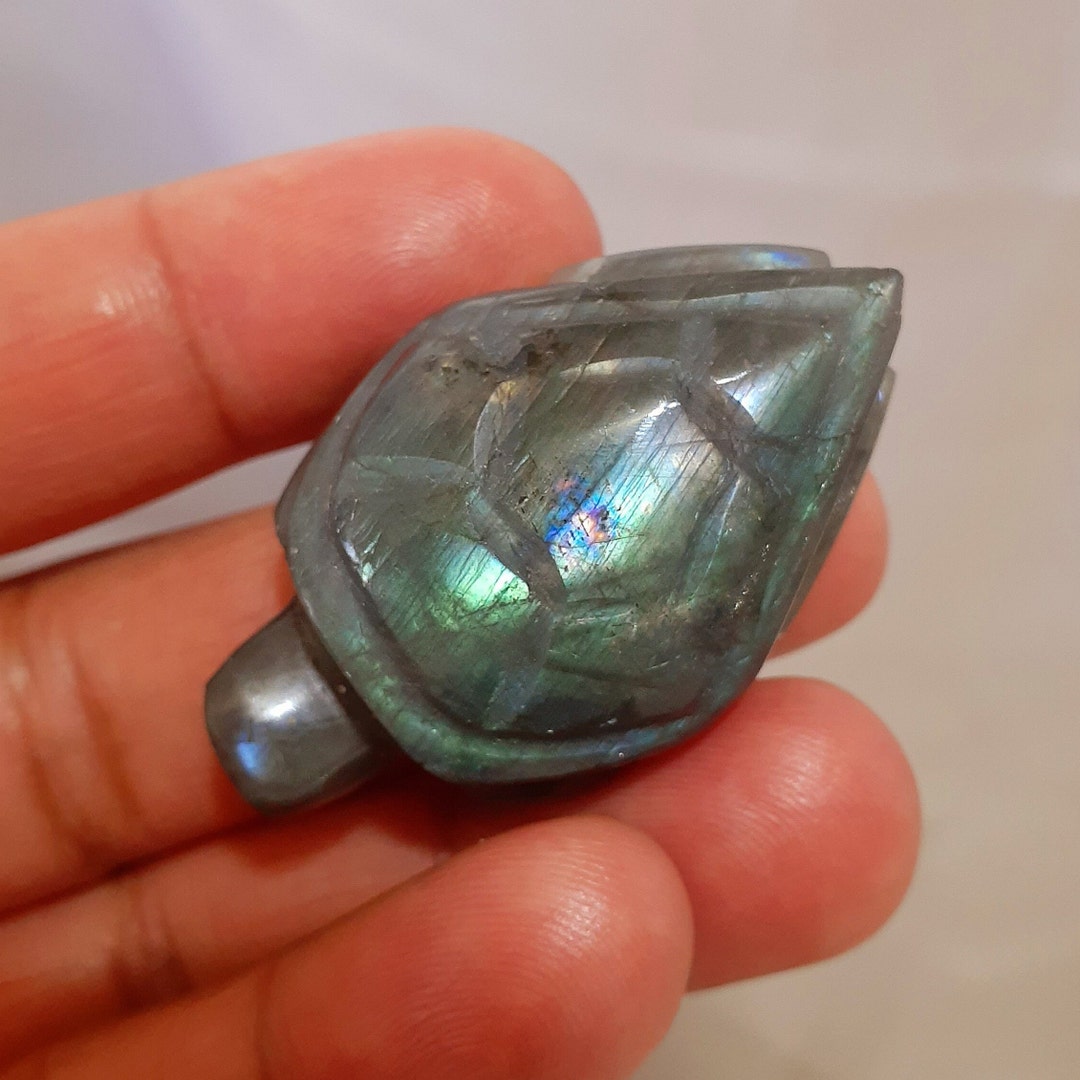 Spectrolite 24gr Multicolor Blue Green Turtle Shape - Etsy