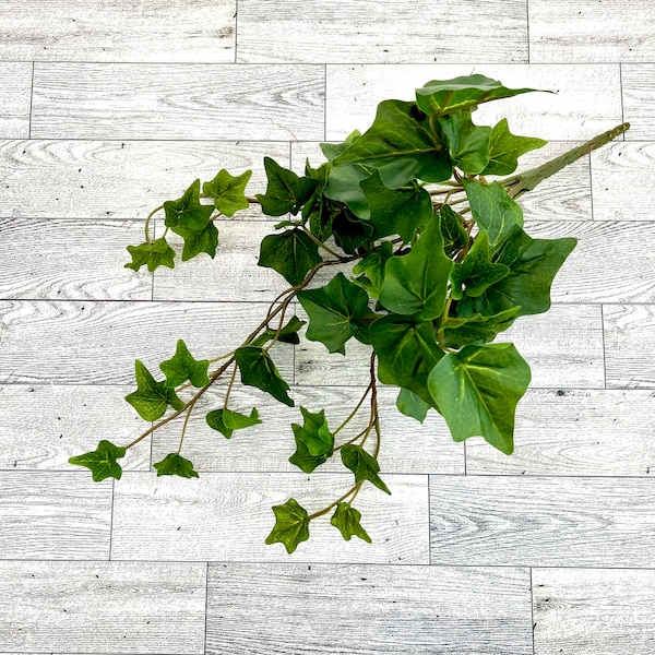 Ivy - Etsy