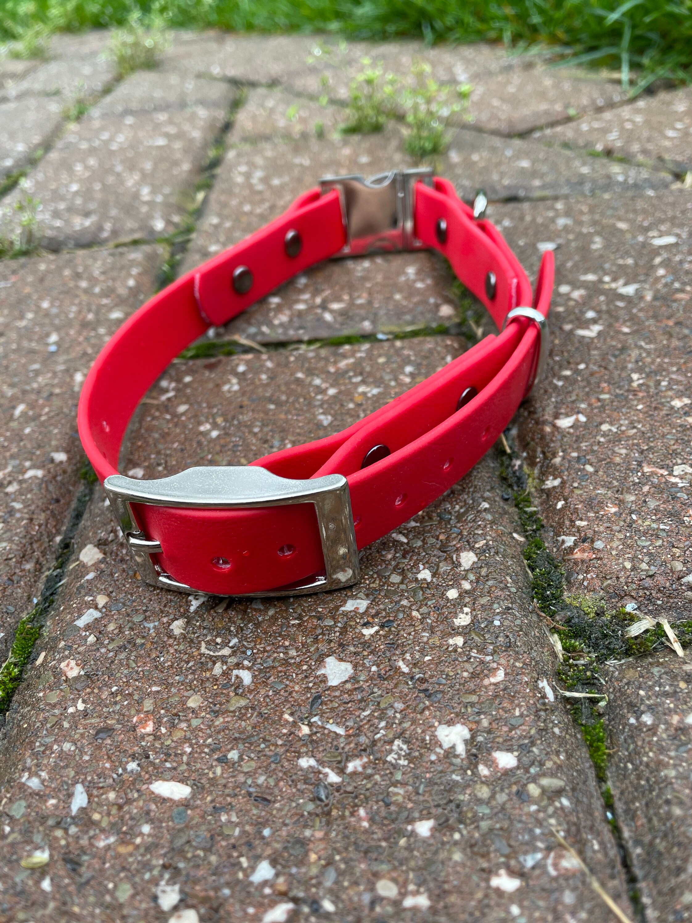 Biothane Quick Release Adjustable Collar | Etsy