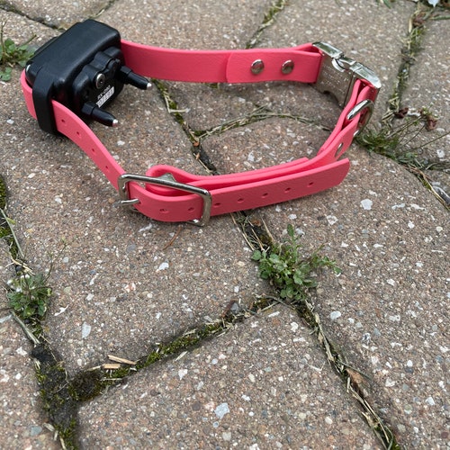 Biothane E-collar Strap | Etsy