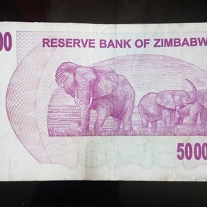 Vintage Zimbabwe Fifty Million Dollar Banknote - Etsy