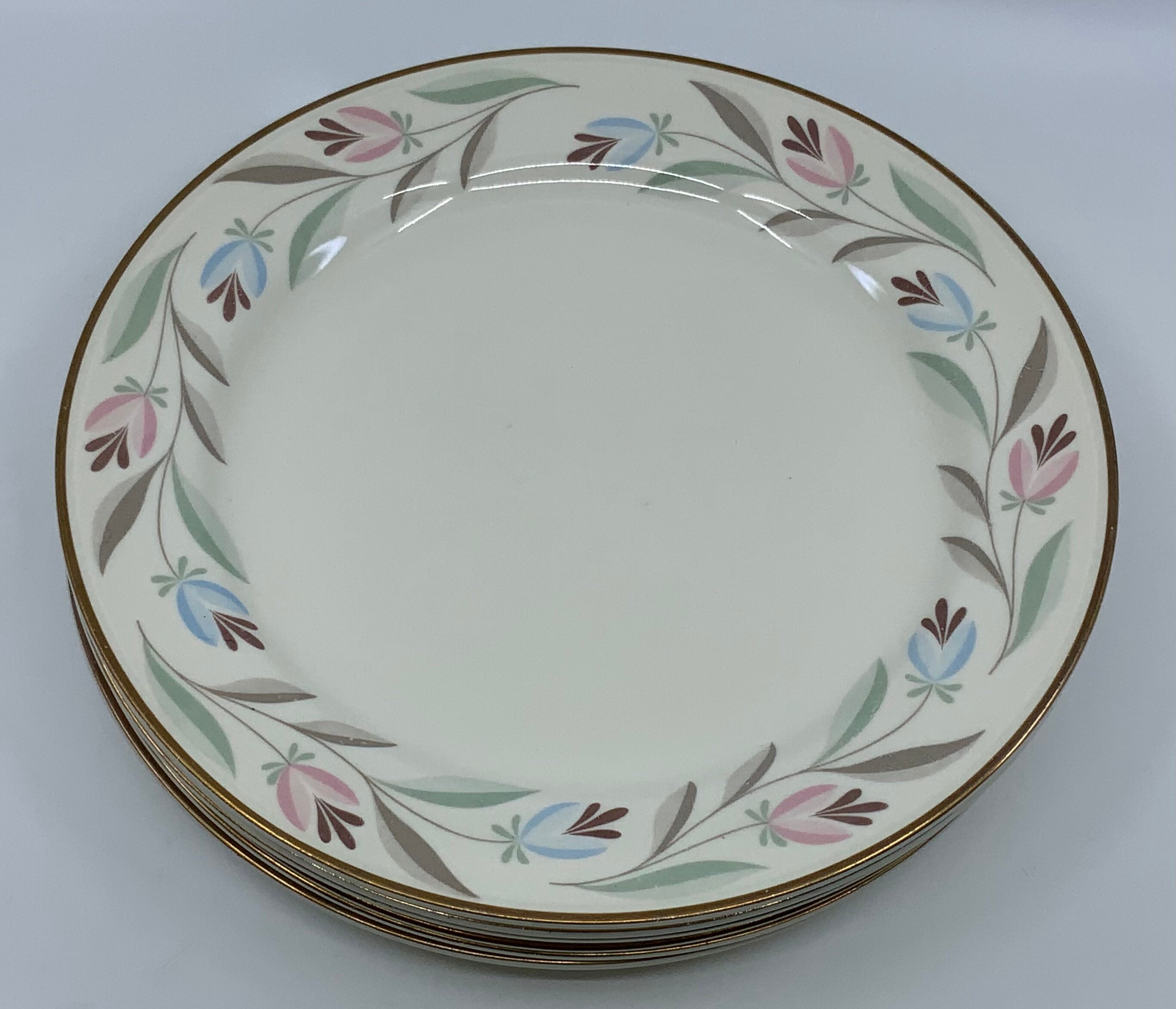 Set Lot SIX Nantucket Eggshell Nautilus Dinner Plate | Etsy