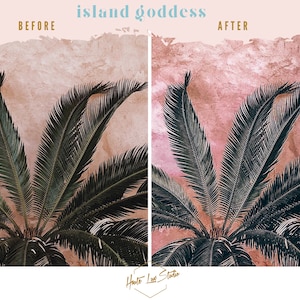 8 Brown Skin Presets Black Girl Magic Melanin Presets Dark - Etsy