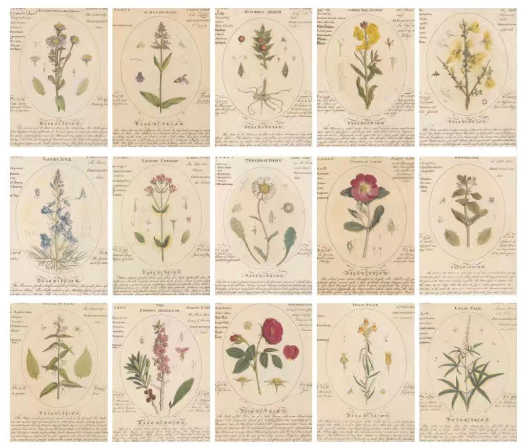 Vintage Botanical Ephemera, Floral Paper Sheets, Scrapbooking - Etsy UK
