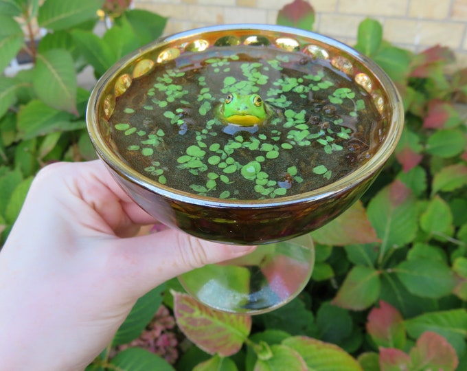 Frog in Swamp Decor Frog in a Cup Desk Decor Frog Miniature Frog Decor ...