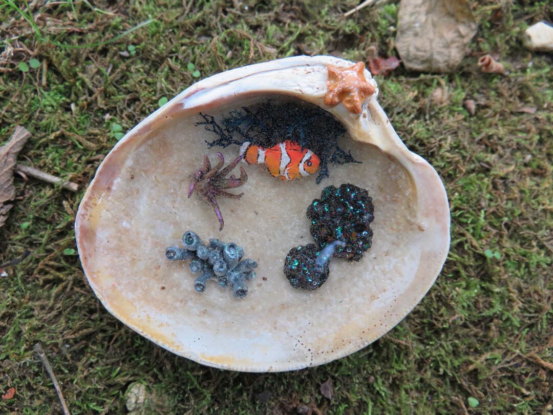 Ocean in a Shell Clownfish Miniature - Etsy