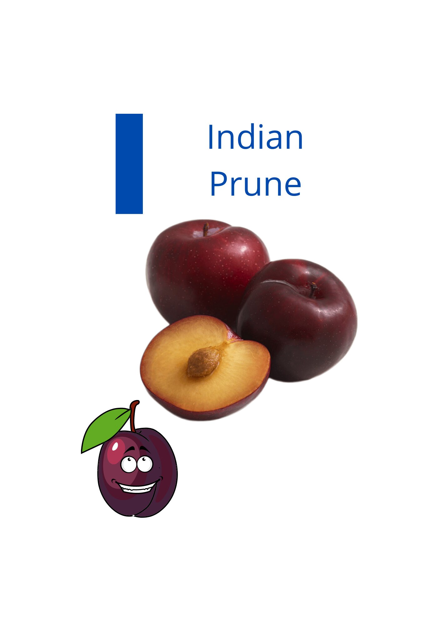 Fruits Alphabet Printable Flash Card Fruits ABC Fruits - Etsy