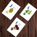 Fruits Alphabet Printable Flash Card Fruits ABC Fruits - Etsy