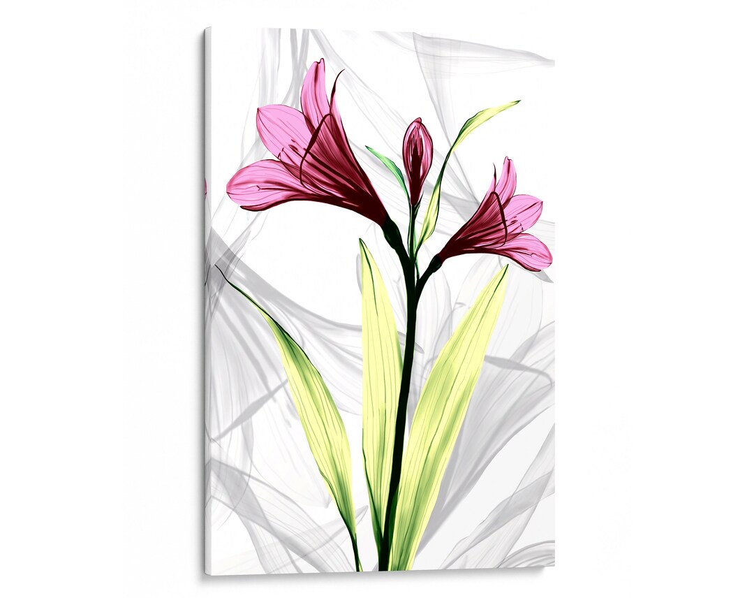 Intalence Art Pink X-ray Flowers Wall Art Decor, Modern Floral Canvas ...
