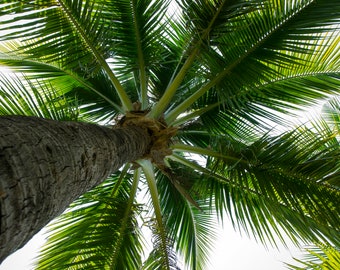 Thank You for Testing - Etsy