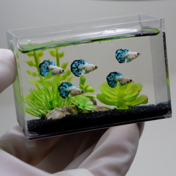 Miniature Clay Guppy Fish in the Tank - Etsy