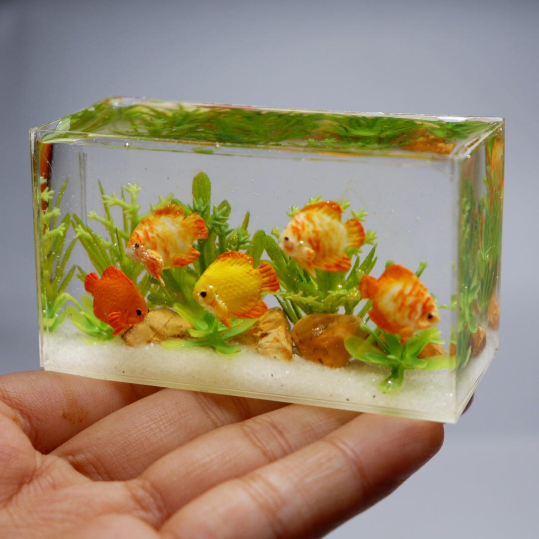 Miniature Clay Discus Fish in the Tank - Etsy