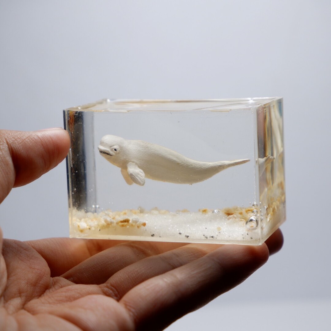 Miniature Beluga in the Tank - Etsy