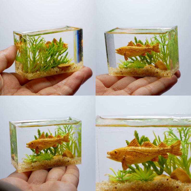 Miniature Clay Atlantic Cod Fish in the Tank - Etsy