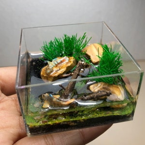 Miniature Clay Mudskipper Tank - Etsy