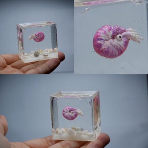 Miniature Clay Nautilus in the Tank - Etsy