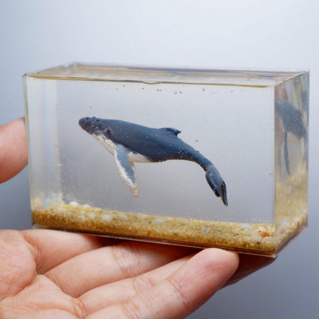 Miniature Whale in the Tank - Etsy