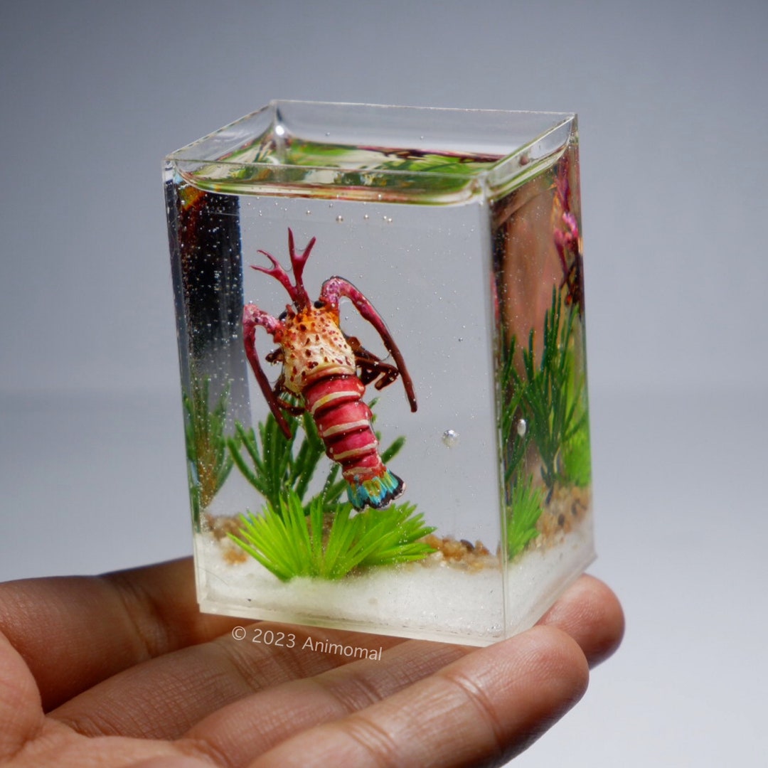 Miniature Clay Palinuridae, Lobster , Miniature Shrimp - Etsy