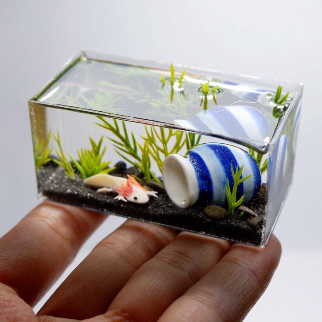 Miniature Clay Axolotl With Little Jar in the Tank - Etsy
