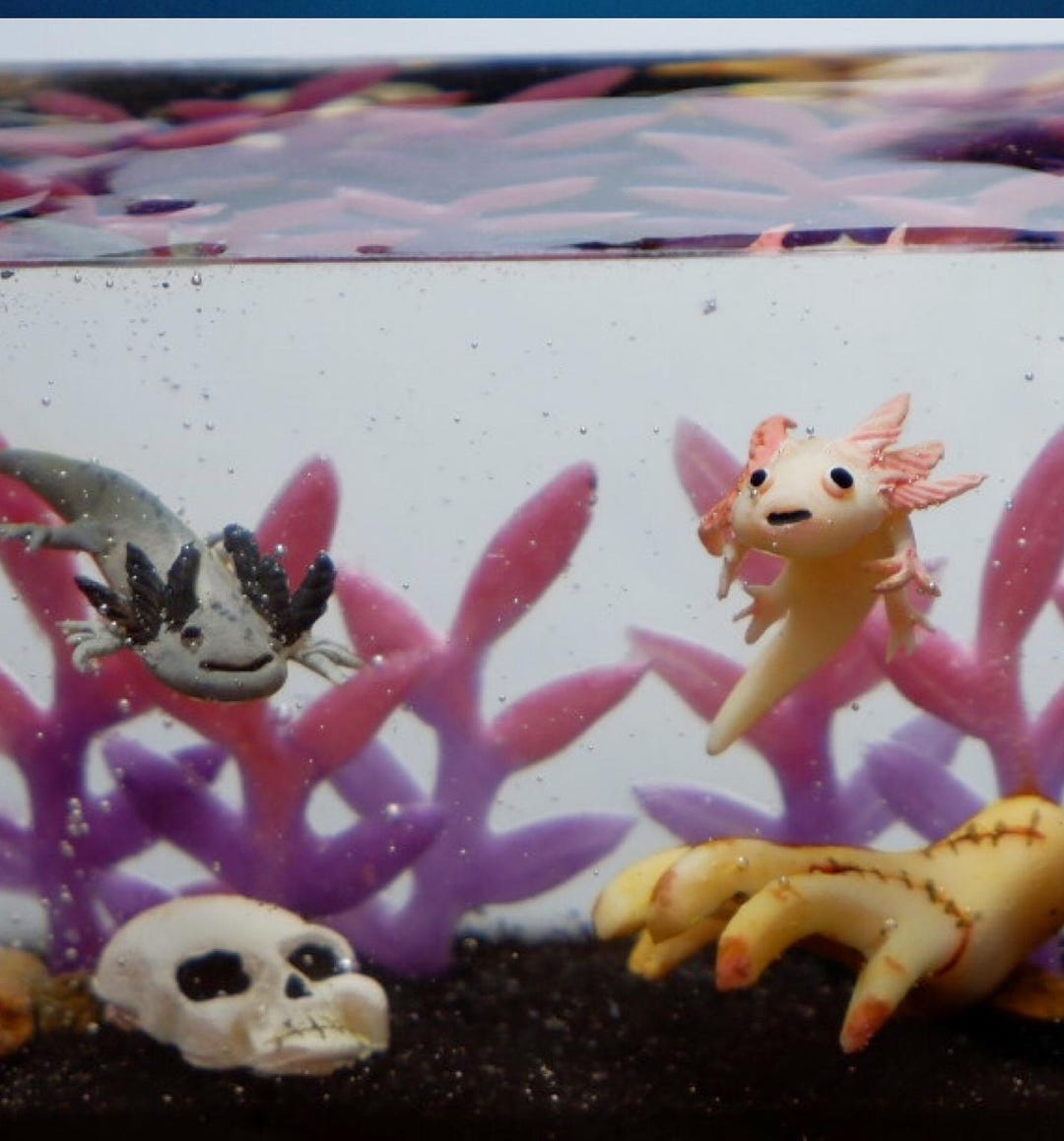 Miniature Axolotl Tank With Skull and Hand ( Glow in the Dark) - Etsy