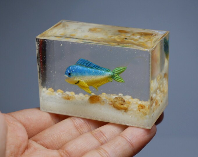 Miniature Mahi Mahi in the Tank - Etsy