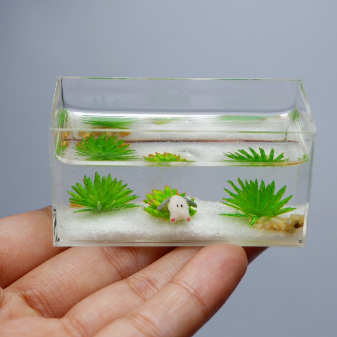 Miniature Clay Leaf Sheep (sea Slug) in the Tank - Etsy