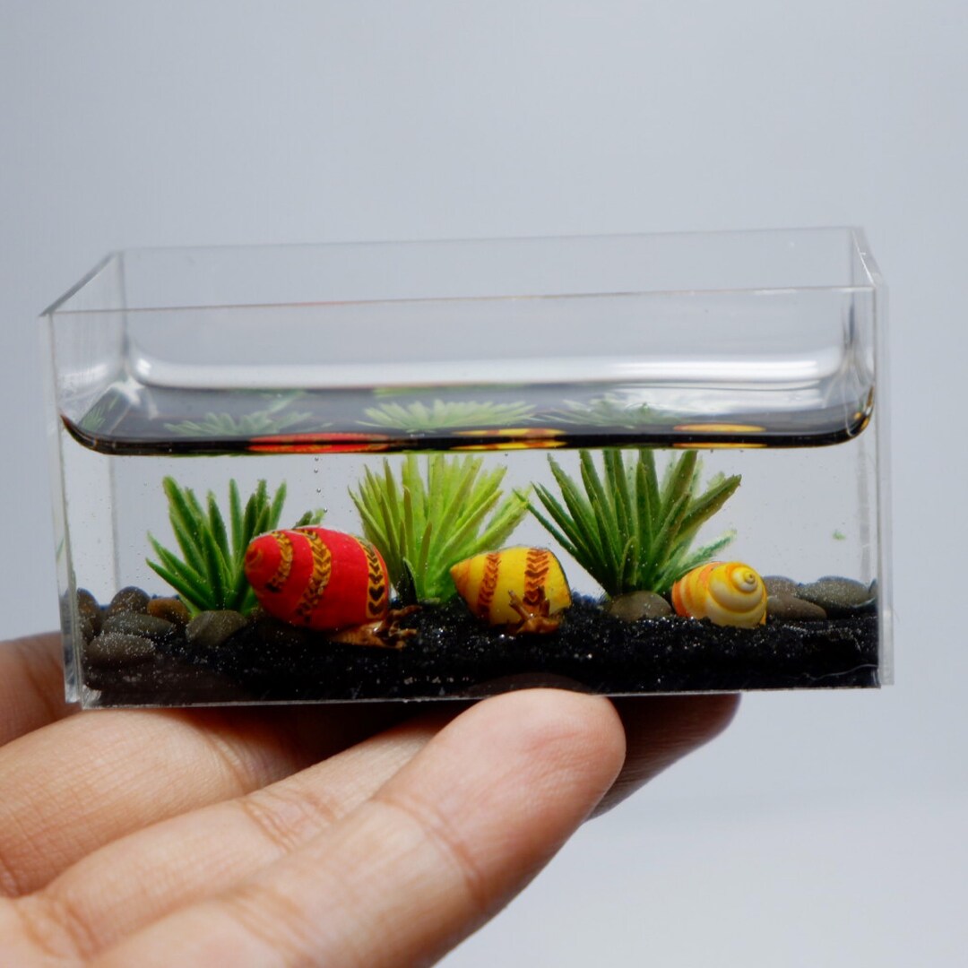 Miniature Clay Red Racer Snails in the Tank - Etsy