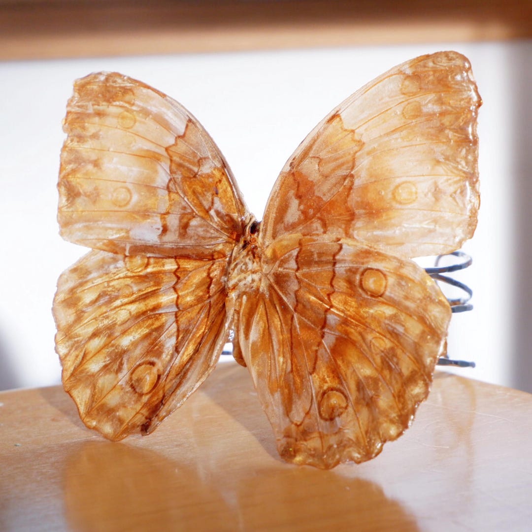 Real Burmese Junglequeen Butterfly Arm Cuff: Resin Coated - Etsy