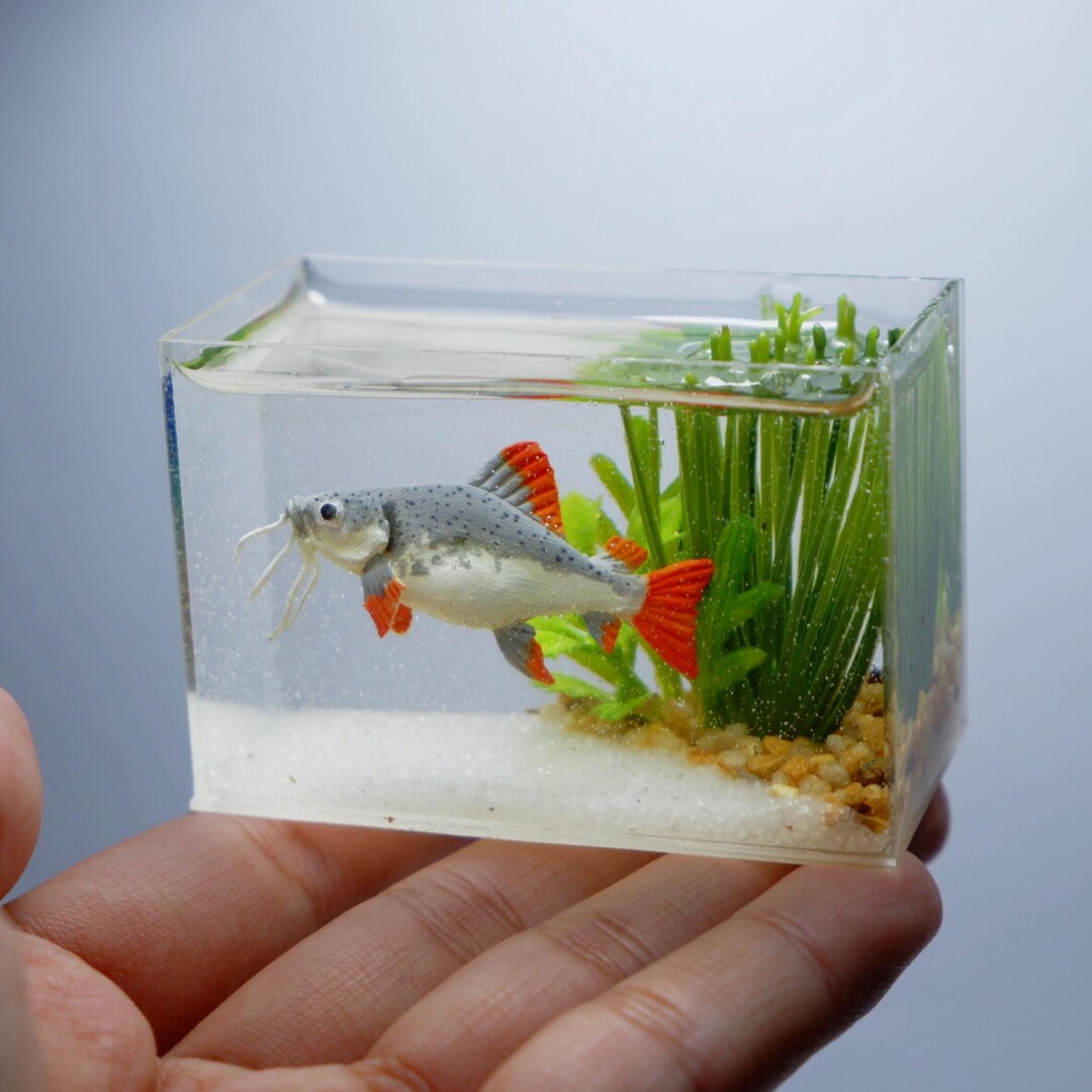 Miniature Replica Redtail Catfish in the Tank - Etsy