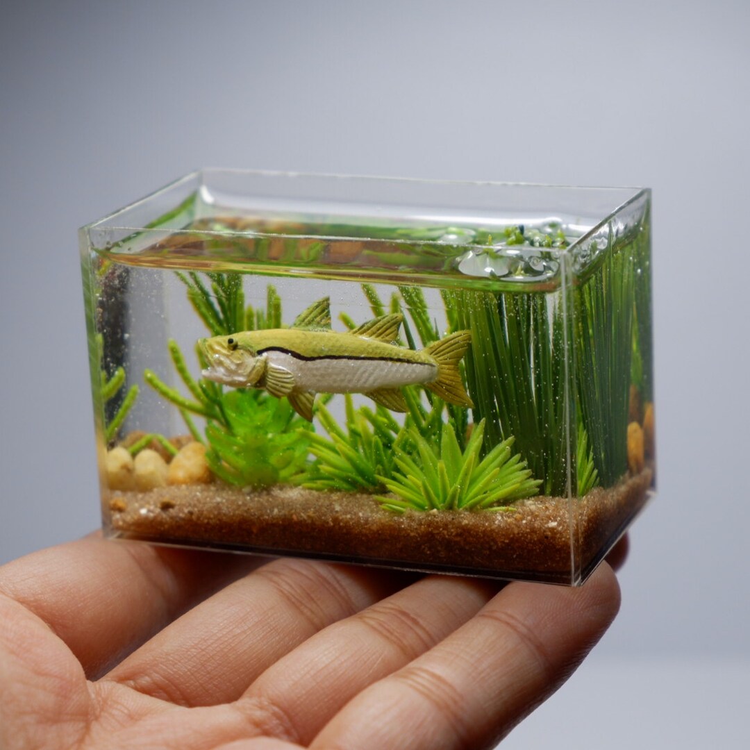 Miniature Clay Common Snook Fish in the Tank - Etsy