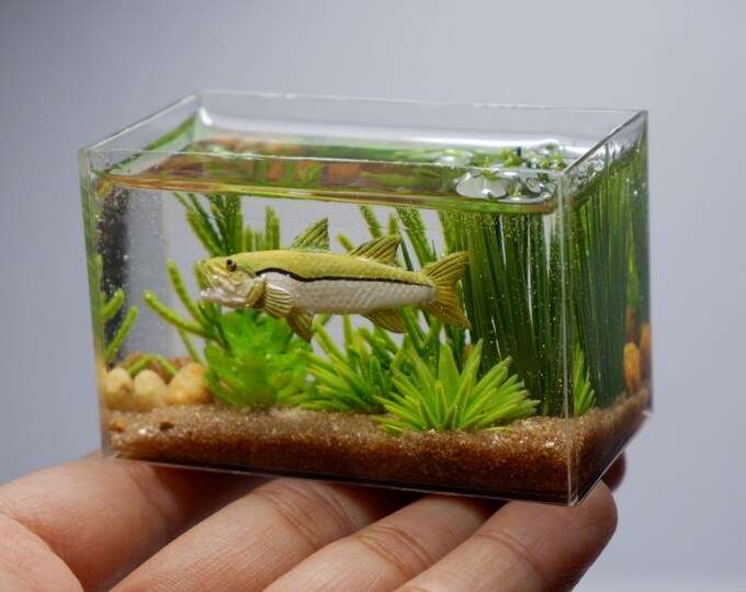 Miniature Clay Common Snook Fish in the Tank - Etsy