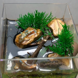 Miniature Clay Mudskipper Tank - Etsy