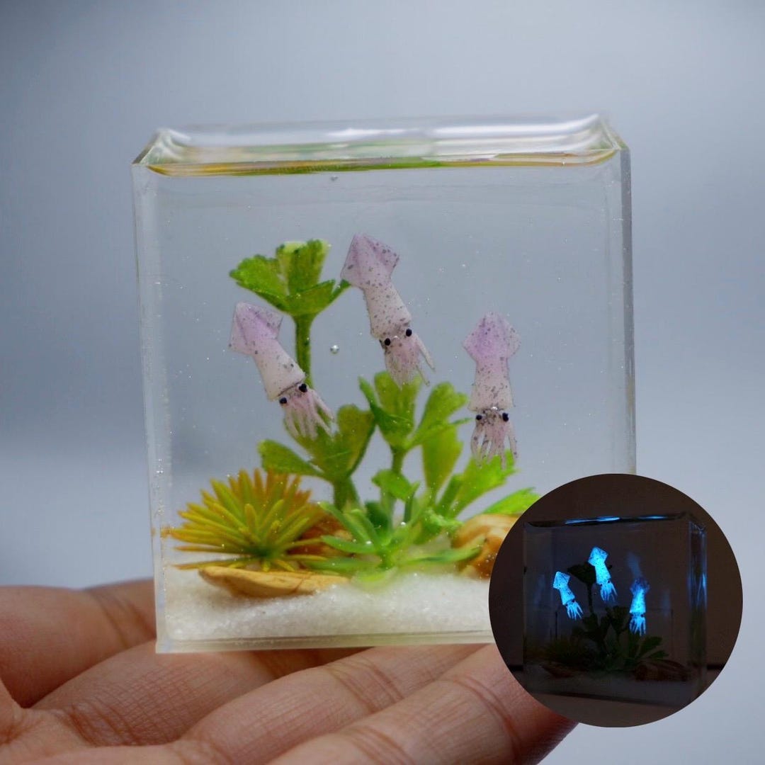 Glow in Dark Miniature Squids in the Tank - Etsy