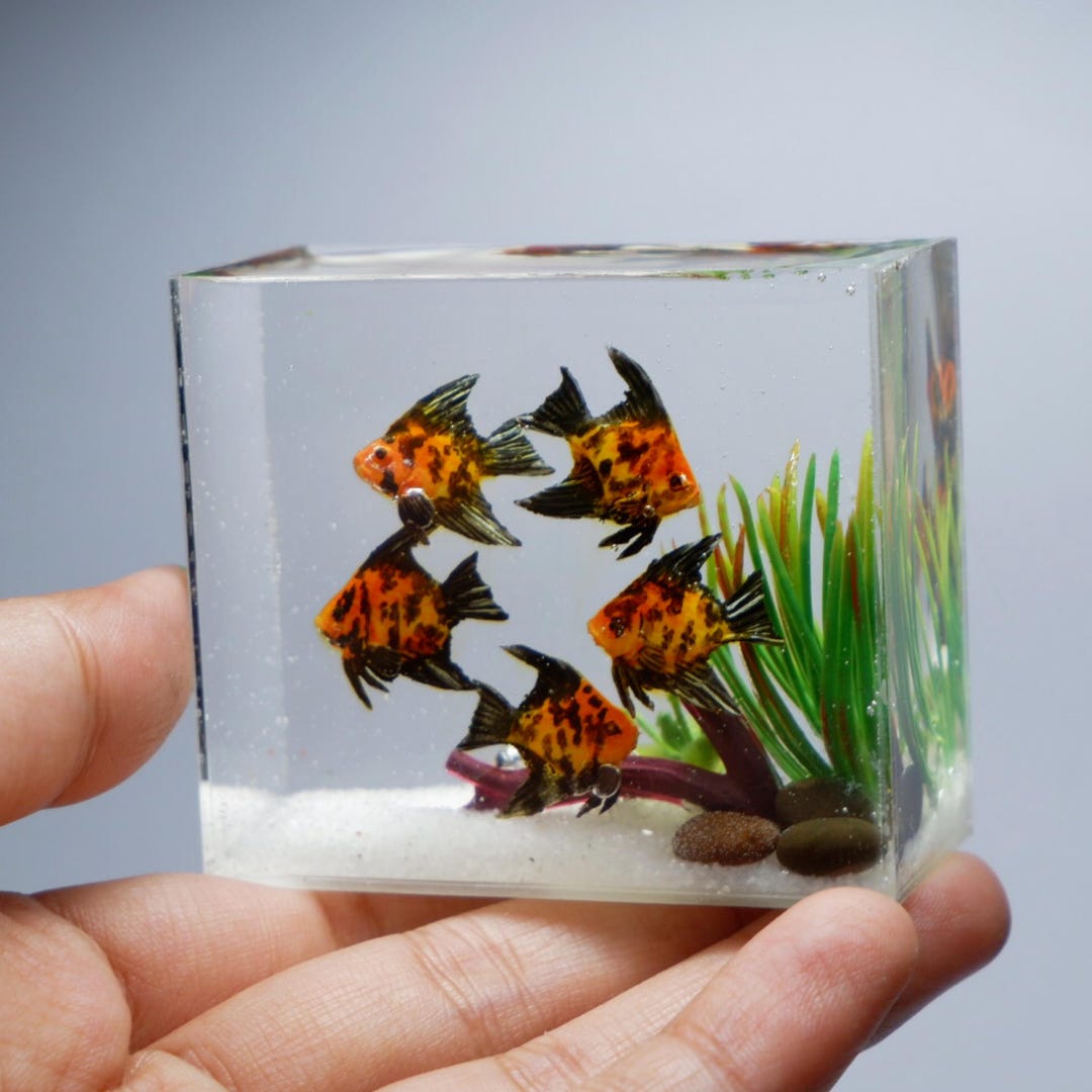 Miniature Clay Angel Fish in the Tank - Etsy