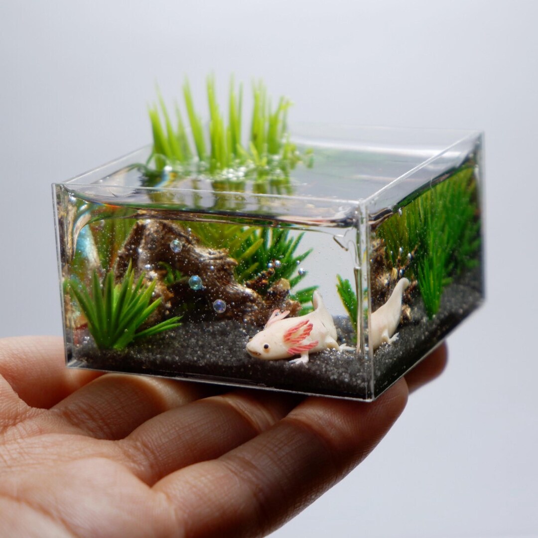 Miniature Clay Axolotl in the Tank - Etsy