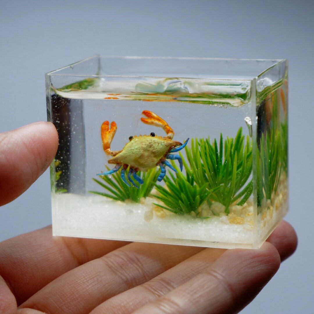 Miniature Crab Tank - Etsy