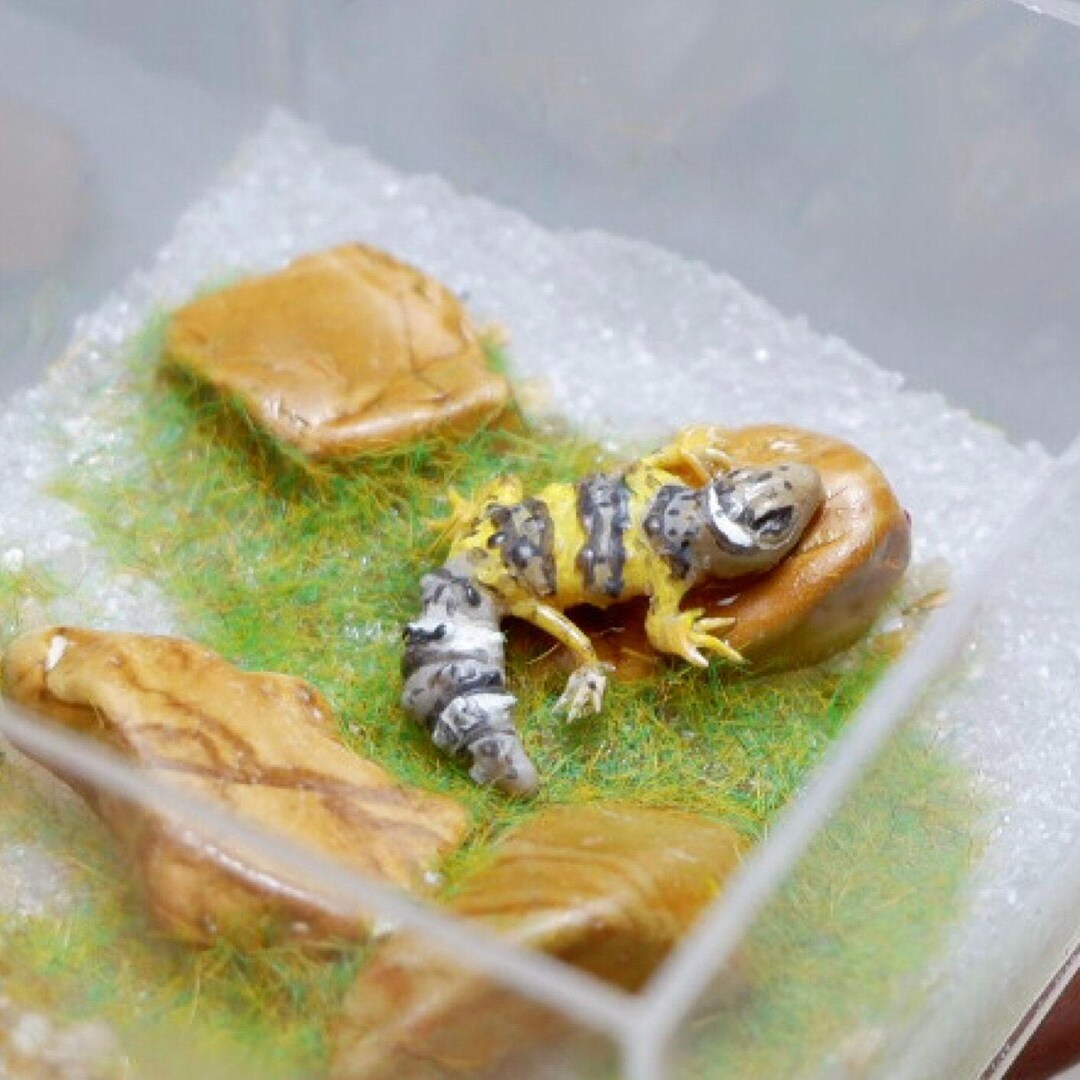 Miniature Gecko in the Terrarium - Etsy