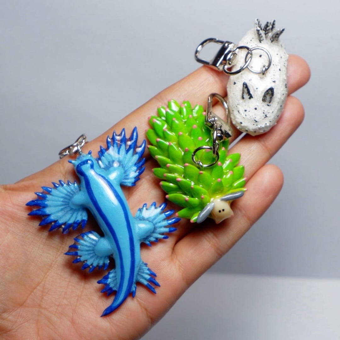 Ocean Creature Keychain Set: Sea Bunny, Leaf Sheep, Blue Dragon Slug - Etsy