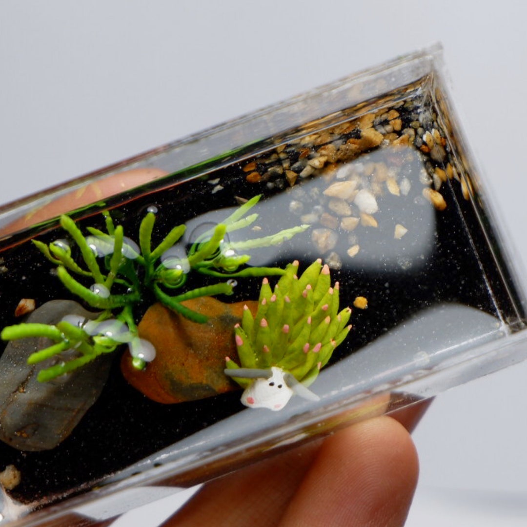Miniature Clay Leaf Sheep sea Slug in the Tank - Etsy