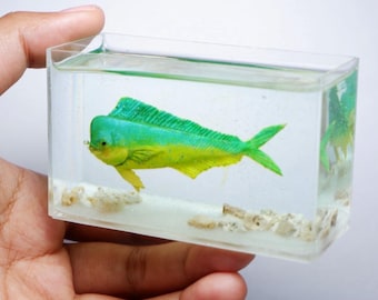Miniature Mahi Mahi in the Tank - Etsy