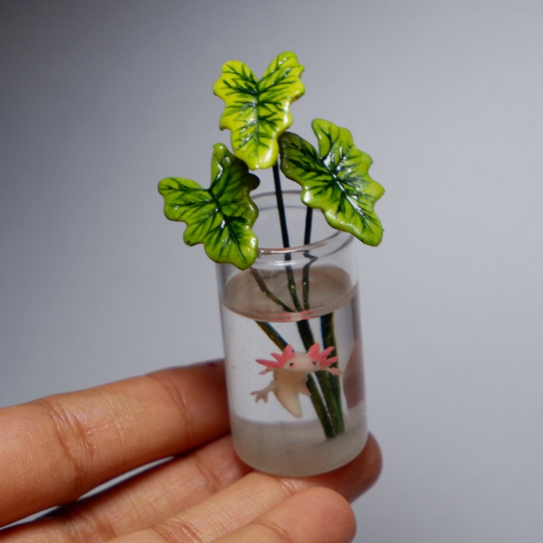 Miniature Axolotl With Alocasia Jacklyn - Etsy