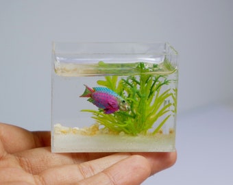 Miniature Platy Fish Tank - Etsy