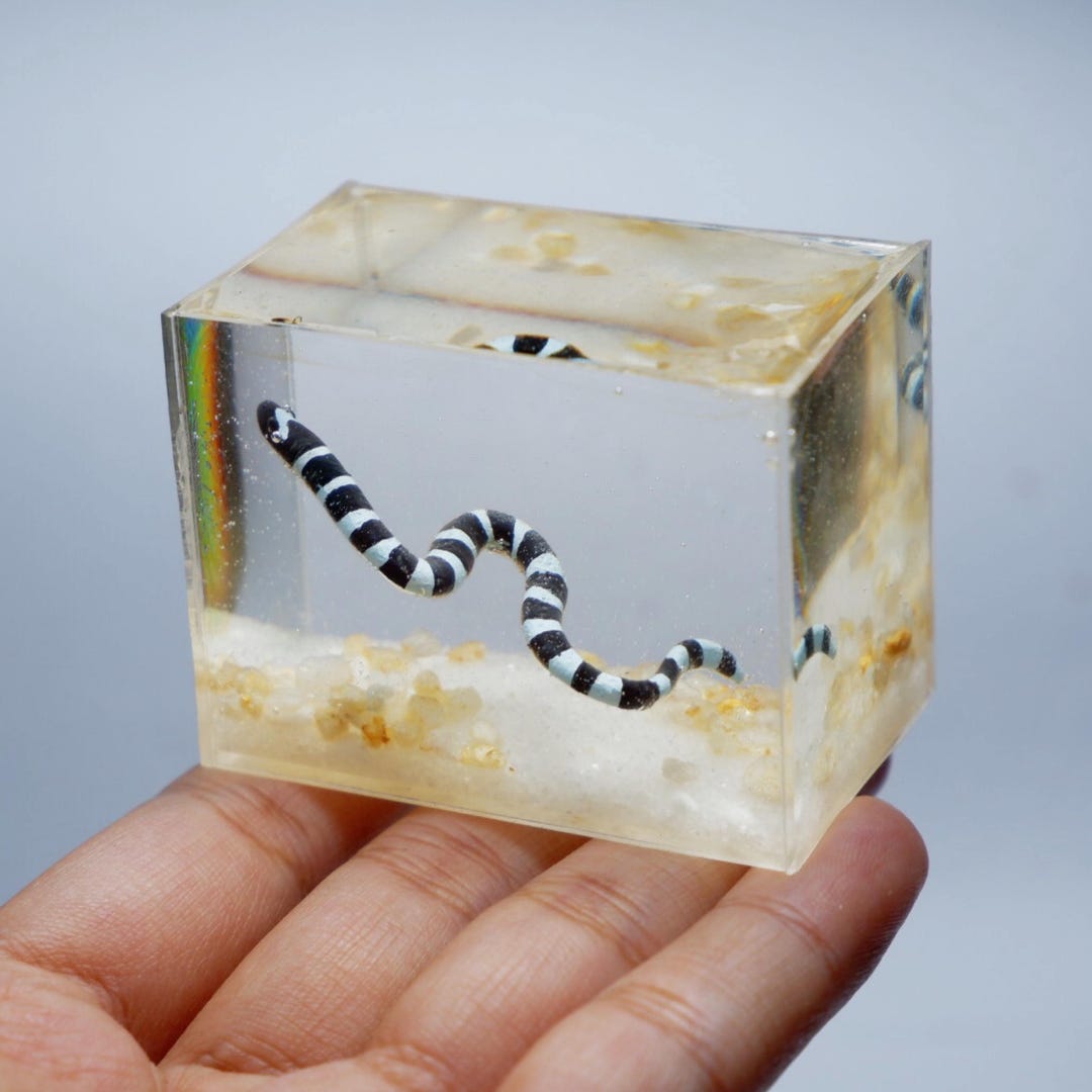 Miniature Replica Sea Snake in the Tank - Etsy