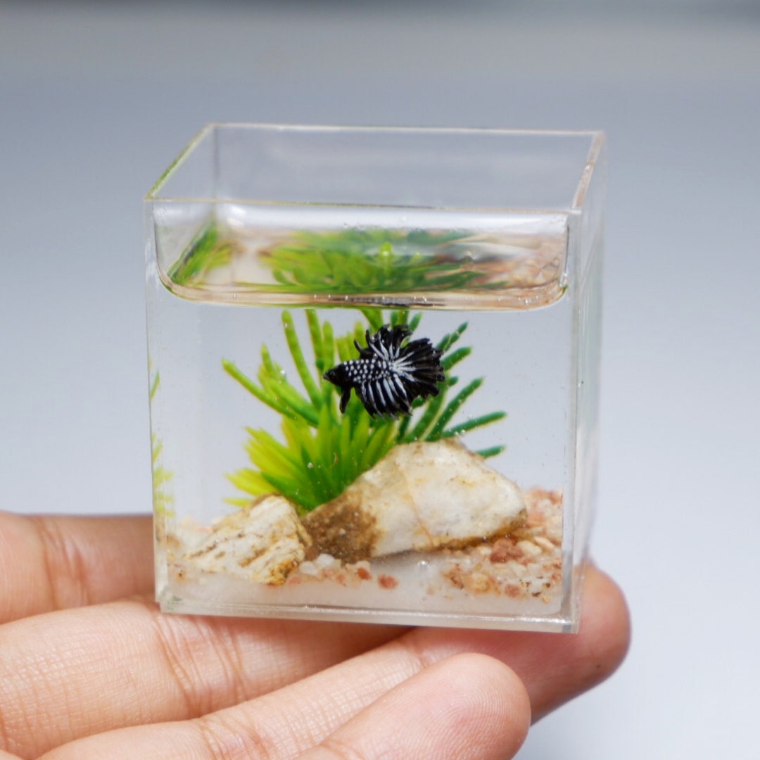 Miniature Clay Betta in the Tank - Etsy