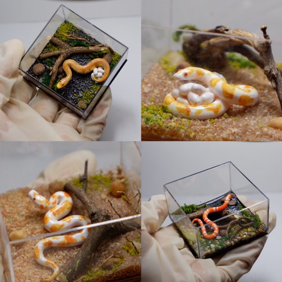 Miniature Snake in Terrarium - Etsy