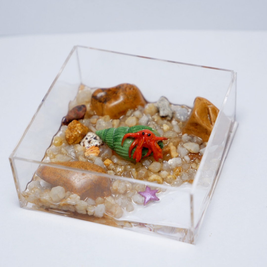 Miniature Clay Hermit Crab in the Tank - Etsy