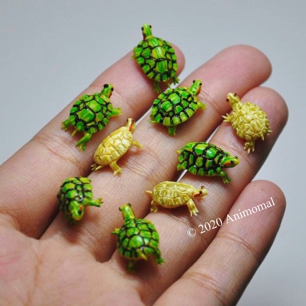 Miniature Turtles - Etsy